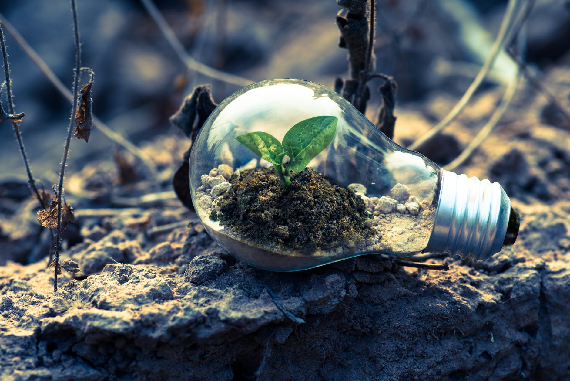 VDL Group – Through Digital Innovation